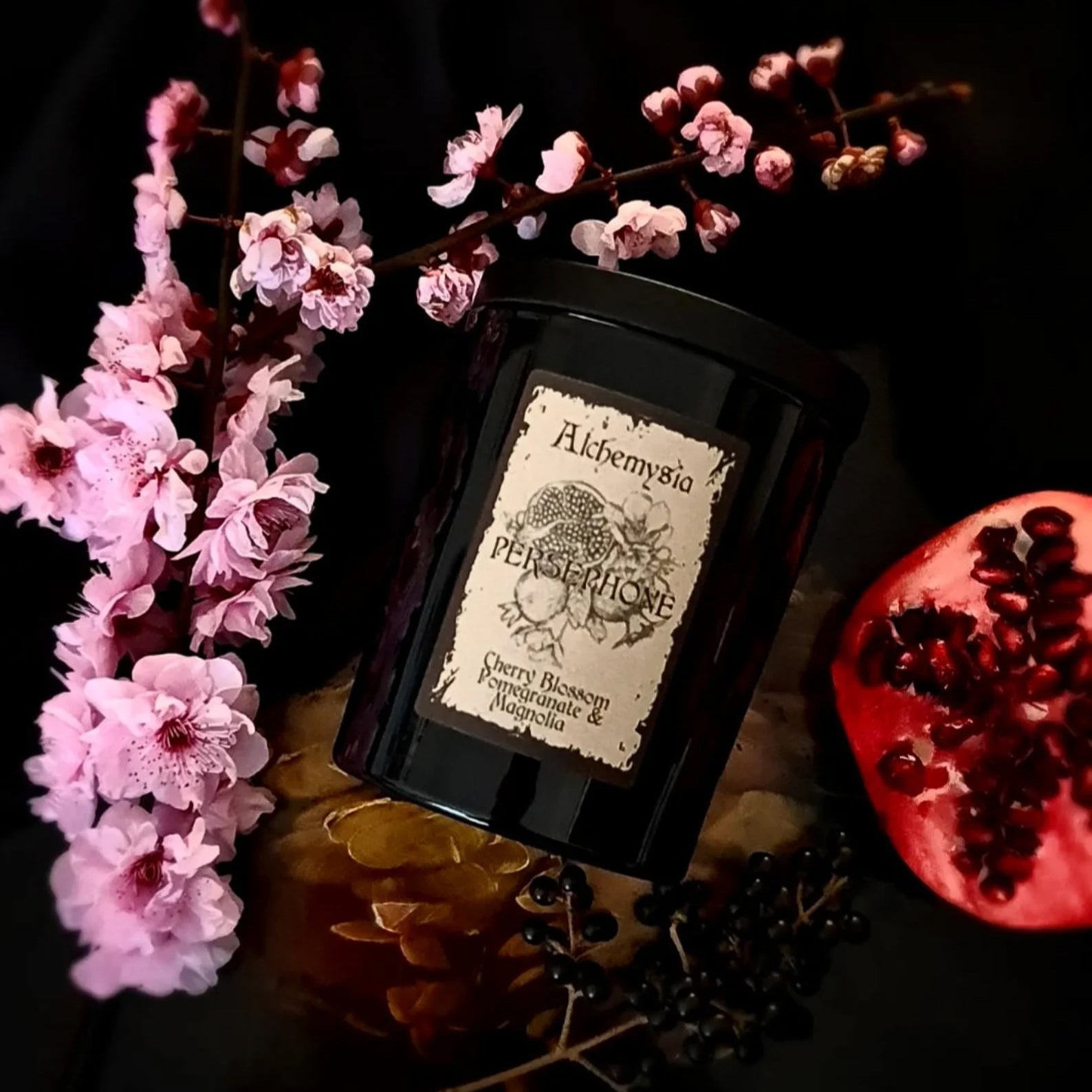 MYTHS AND MAGIC – ALCHEMYSIA